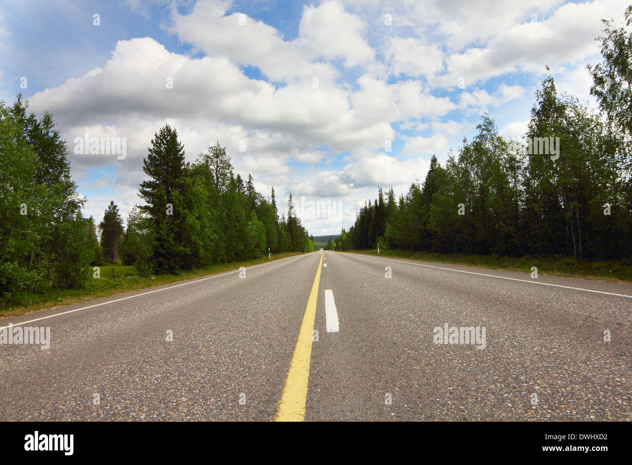 Perspective view roadway in forest hi-res stock photography and images ...