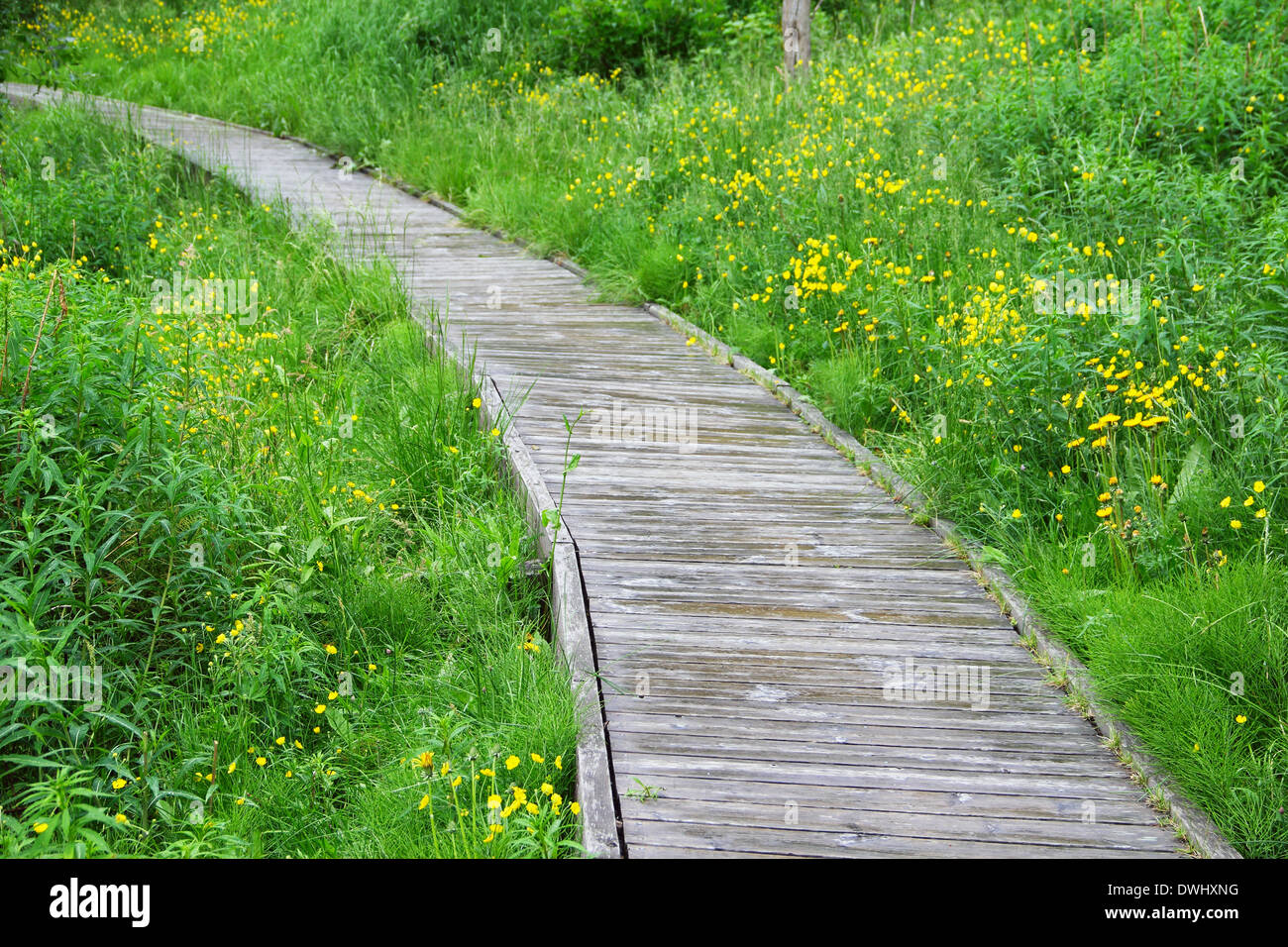 Norwegian landscaped park with walking roads, Alta Stock Photo - Alamy