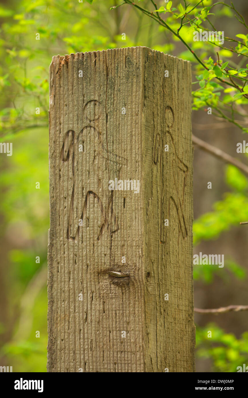 Pioneer Indian Trail trail post, Siuslaw National Forest, Oregon Stock ...