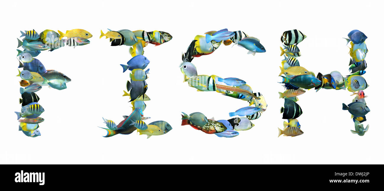The word FISH composed from many colorful tropical fish isolated on ...
