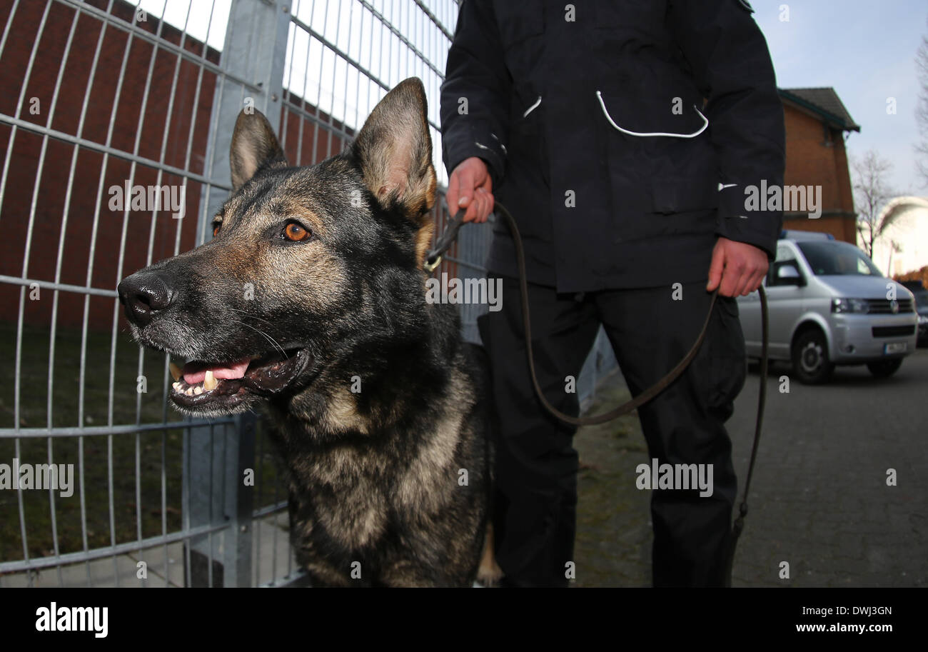 Prison dog hi-res stock photography and images - Alamy