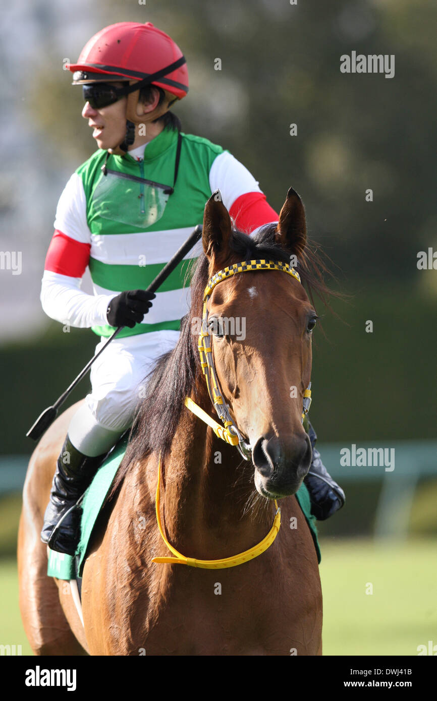 Hyogo, Japan. 8th Mar, 2014. Harp Star (Yuga Kawada) Horse Racing ...