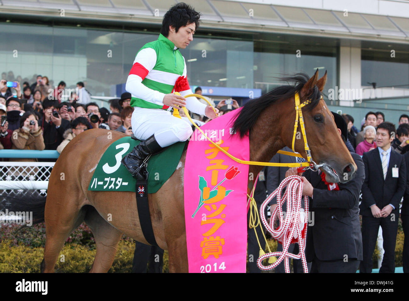 Hyogo, Japan. 8th Mar, 2014. Harp Star (Yuga Kawada) Horse Racing ...