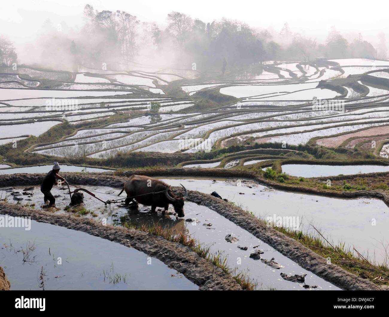 Qingkou village hi-res stock photography and images - Alamy