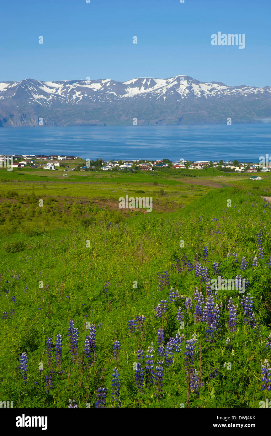 Husavik coast hi-res stock photography and images - Alamy