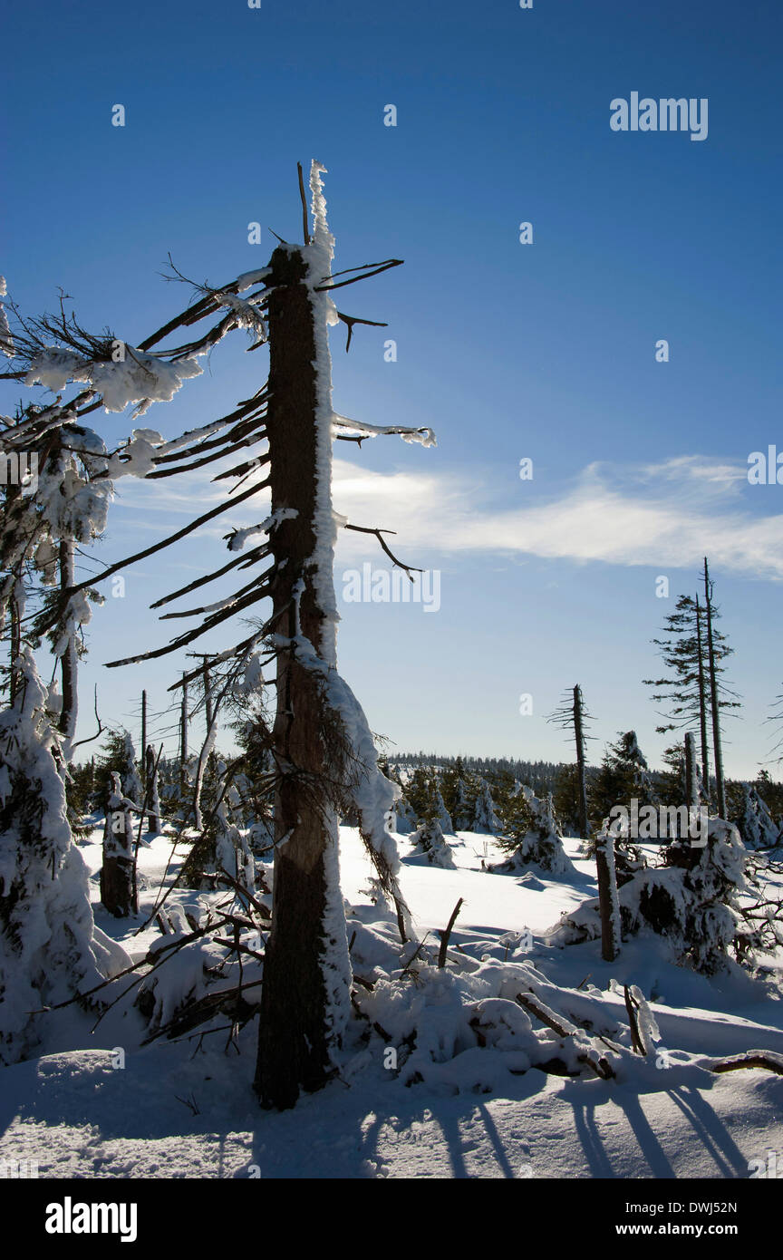 Sonnenberg hi-res stock photography and images - Alamy