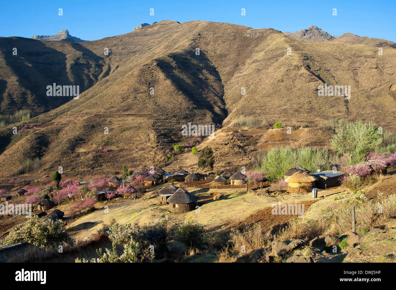 Butha buthe hi-res stock photography and images - Alamy