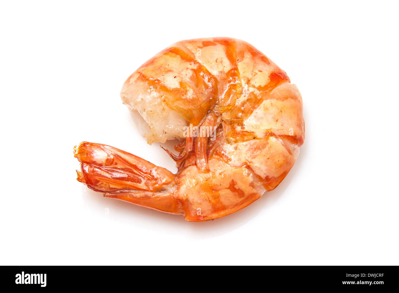 Cooked Tiger prawn or Asian tiger shrimp. Isolated on a white studio ...