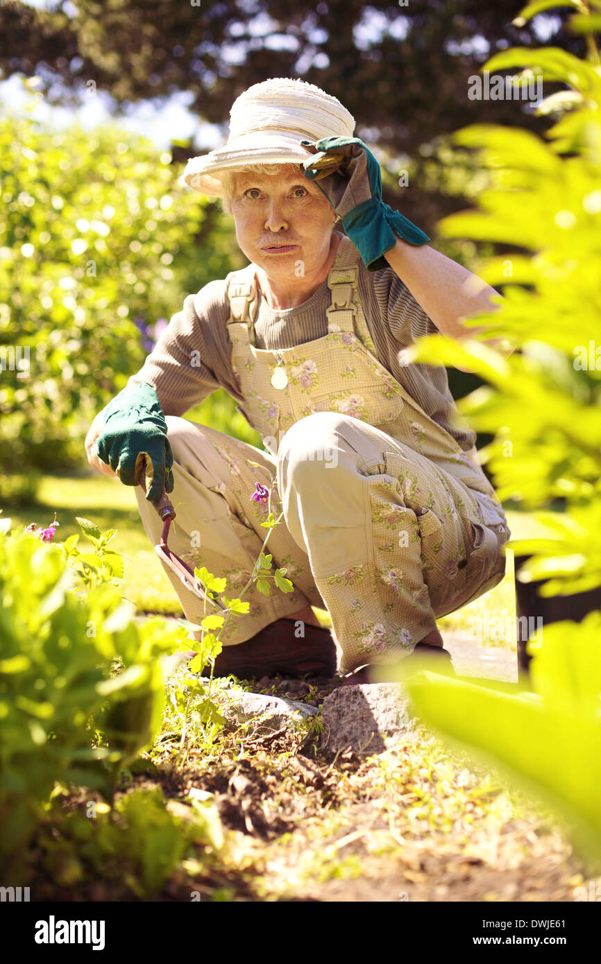 Older woman working in garden feeling tired. Senior woman stopping for a rest while gardening in ...