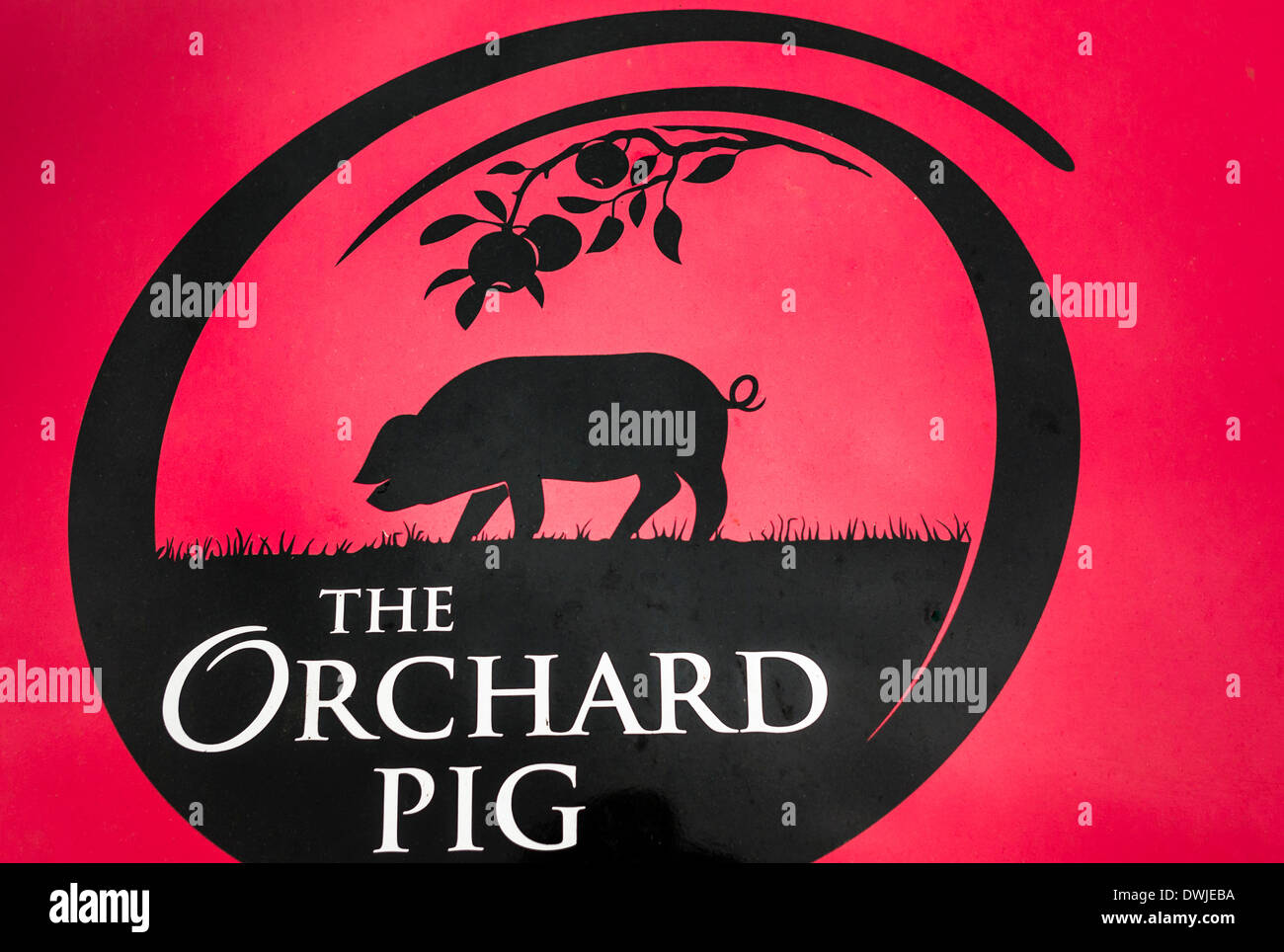 THE ORCHARD PIG logo and sign belonging to cider producer in UKs Stock ...