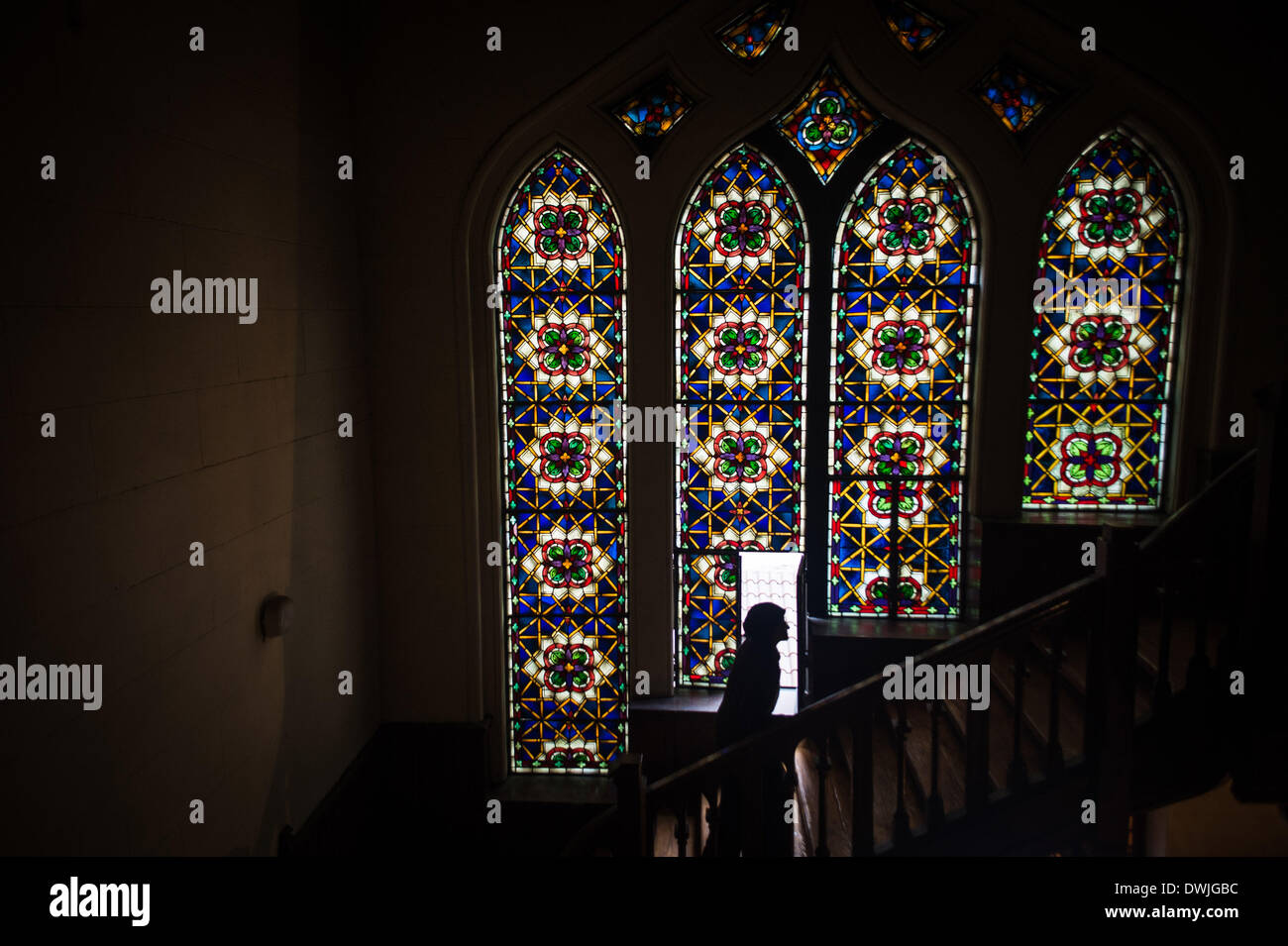 Office professor dr hi-res stock photography and images - Alamy