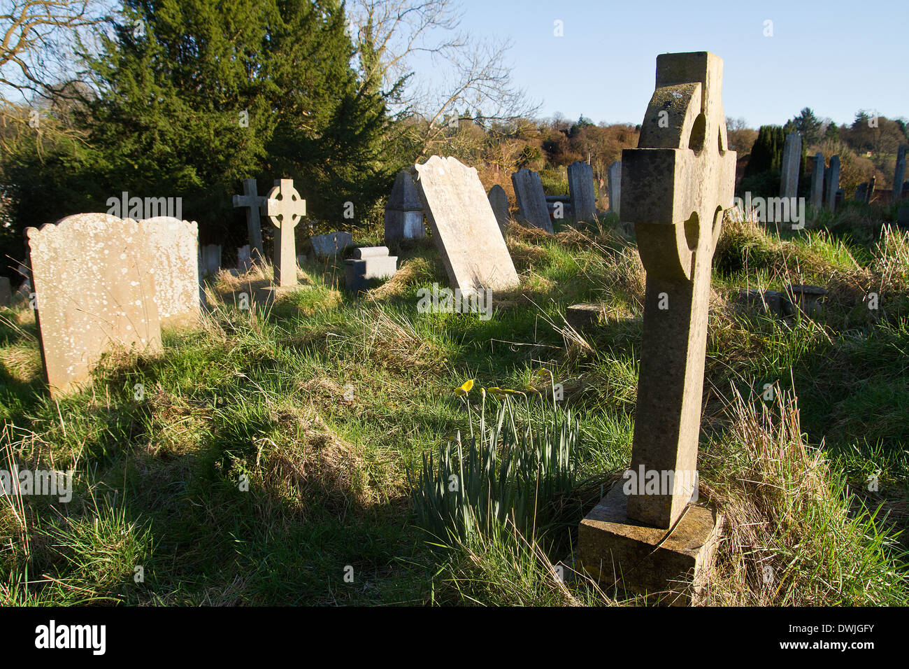 Graves in overgrown church cemetery hi-res stock photography and images ...