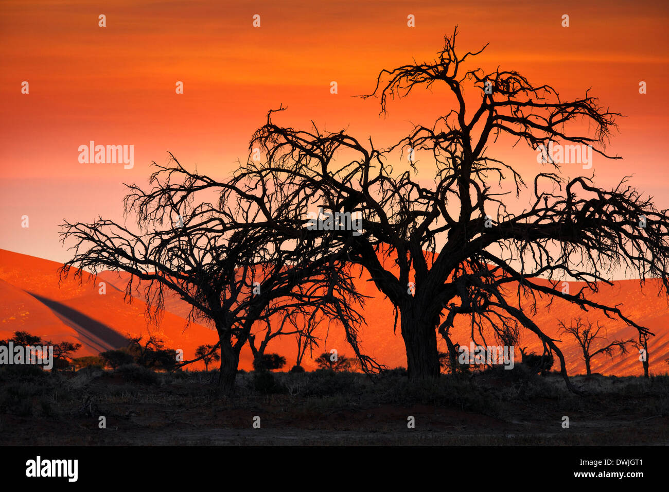 Sunset in the Namib-nuakluft Desert at Sossusvlei in Namibia Stock ...