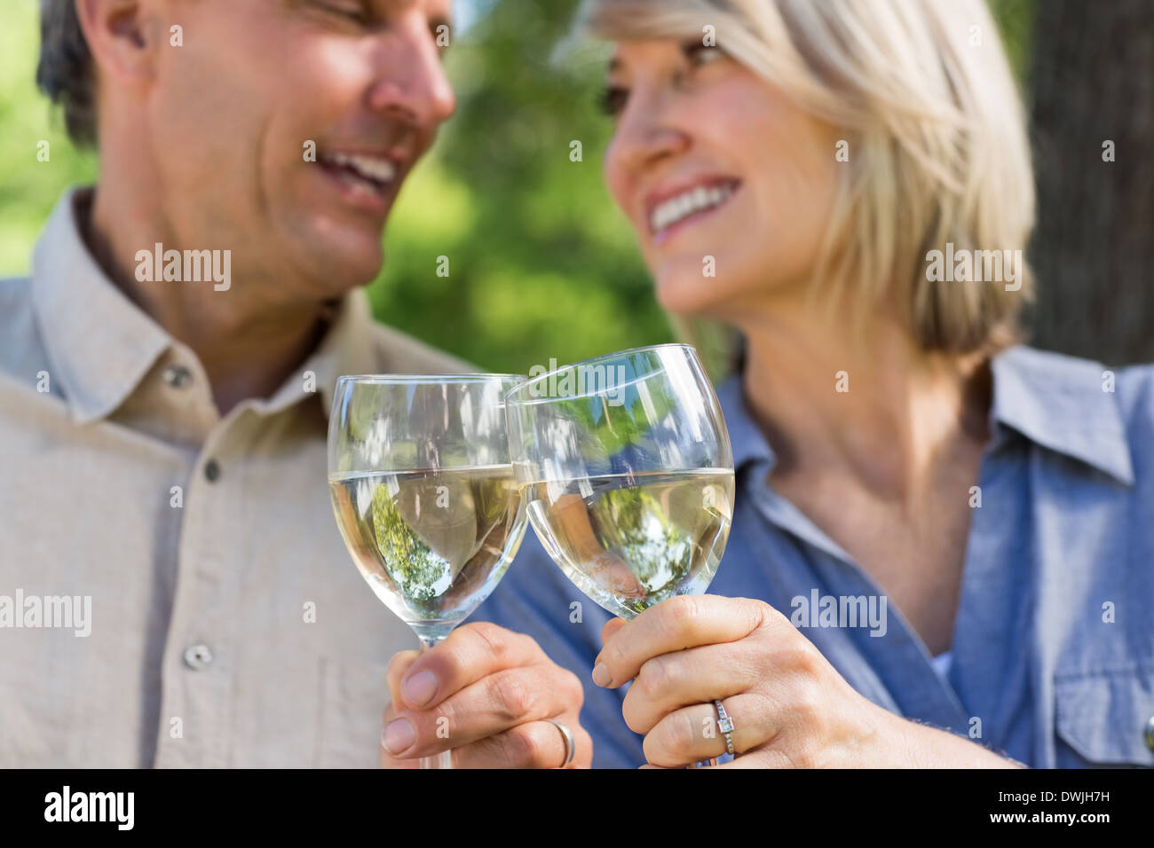 Romantic couple toasting wine glasses Stock Photo - Alamy