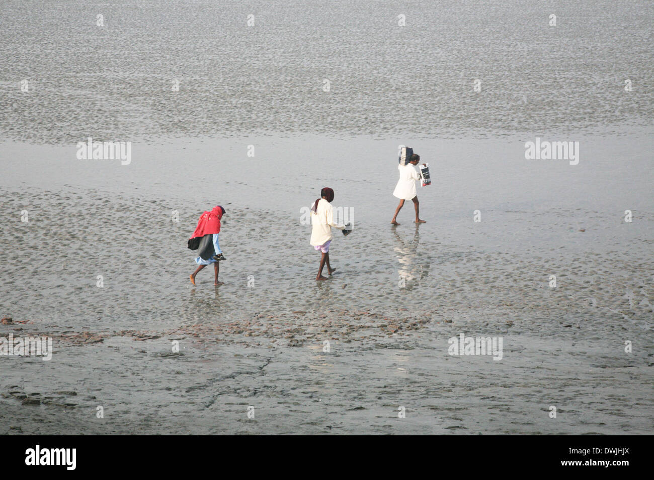 Crossing Matla river near Canning Town, India Stock Photo - Alamy