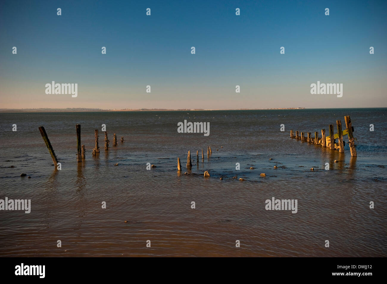 Old groynes hi-res stock photography and images - Alamy