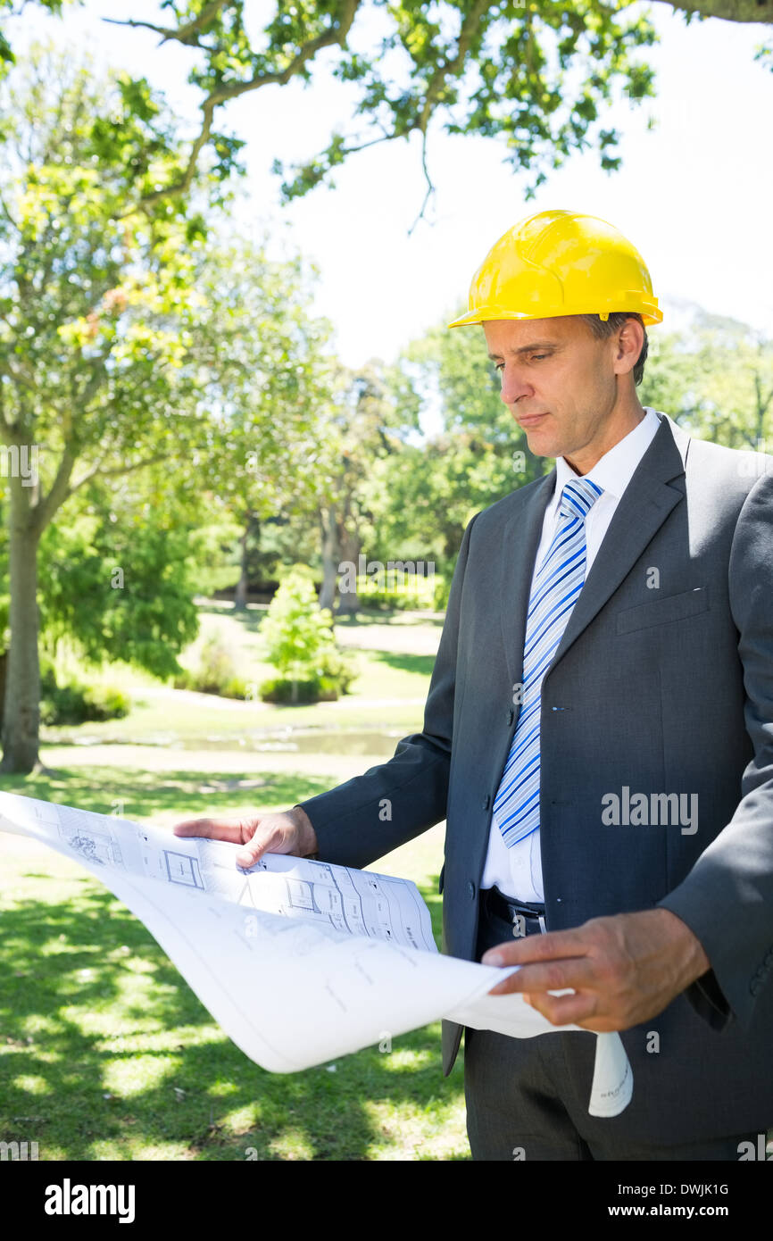 Businessman analyzing blueprint standing hi-res stock photography and ...