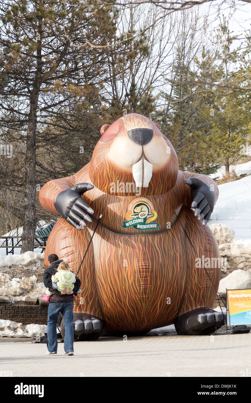 Helium Inflated Beaver at the Toronto Zoo at the Canada Parks Display ...