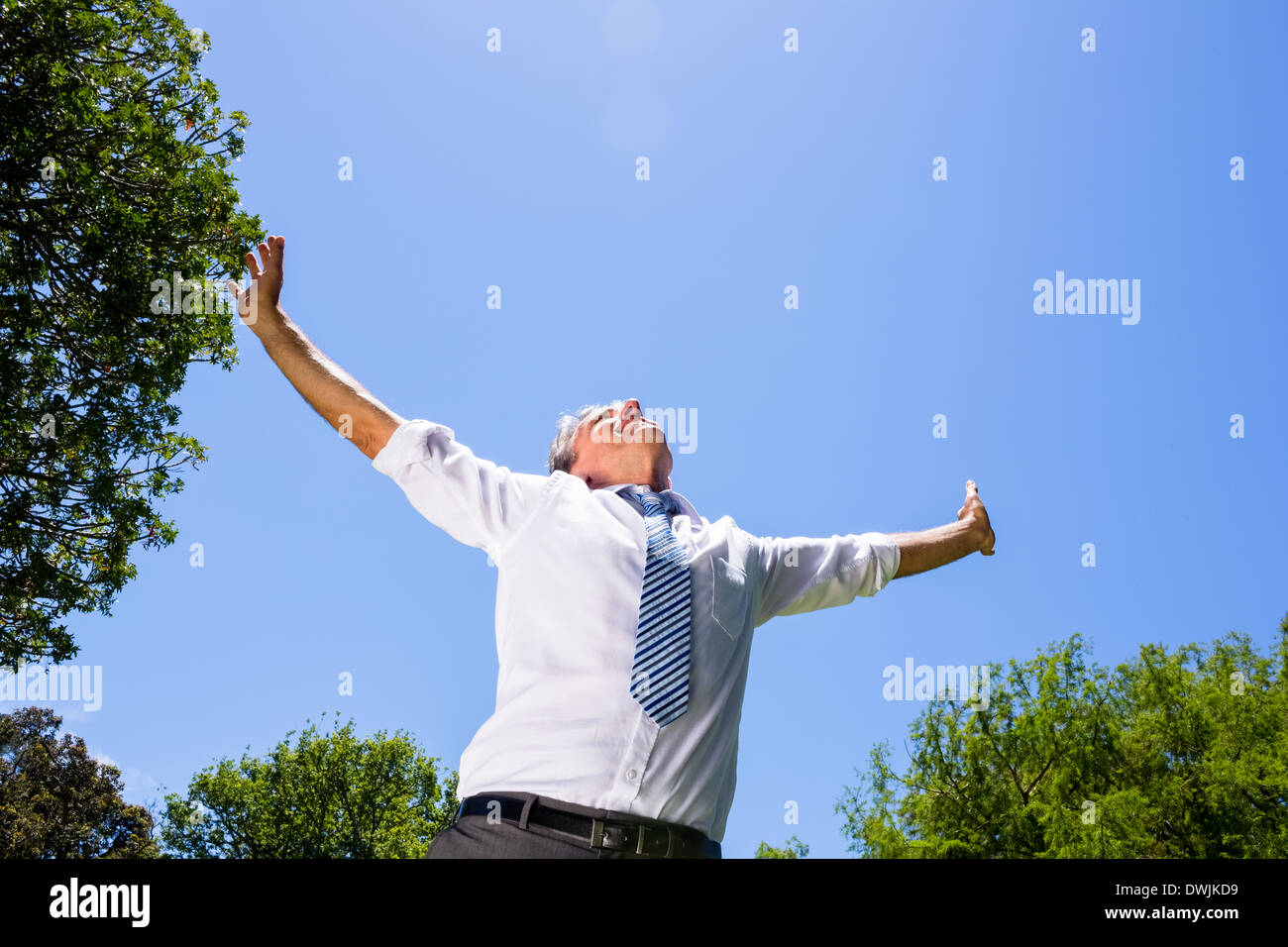 Successful man arms outstretched sky hi-res stock photography and ...