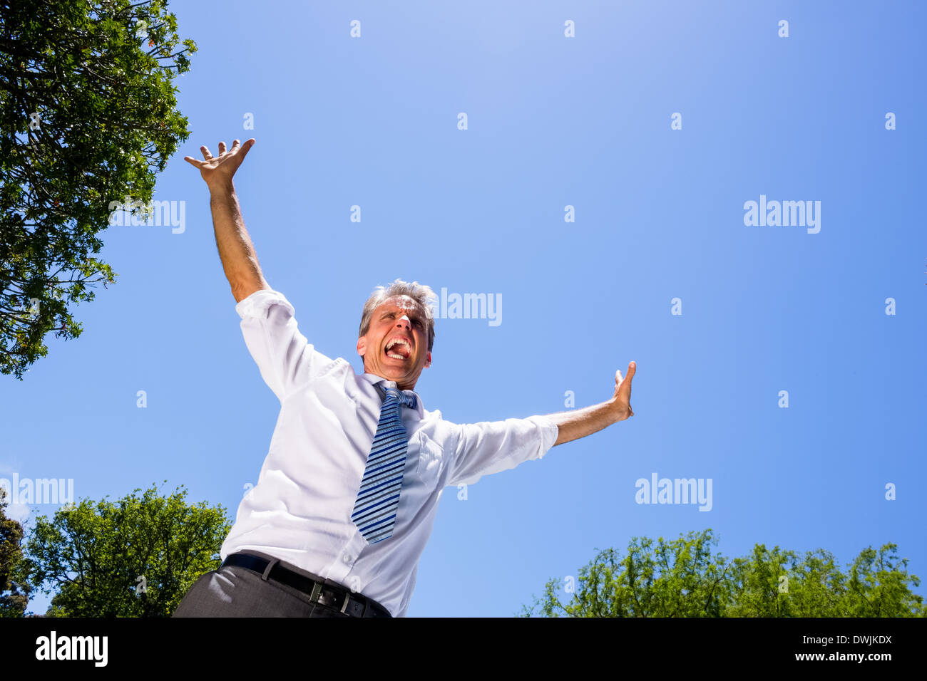 Successful businessman screaming Stock Photo - Alamy