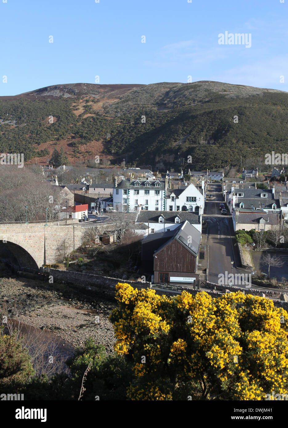 Helmsdale gorse hi-res stock photography and images - Alamy