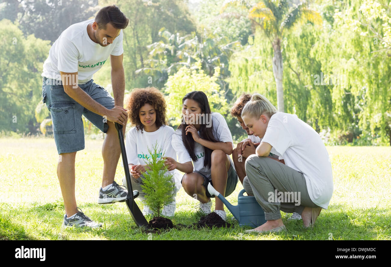 Planting park hi-res stock photography and images - Alamy