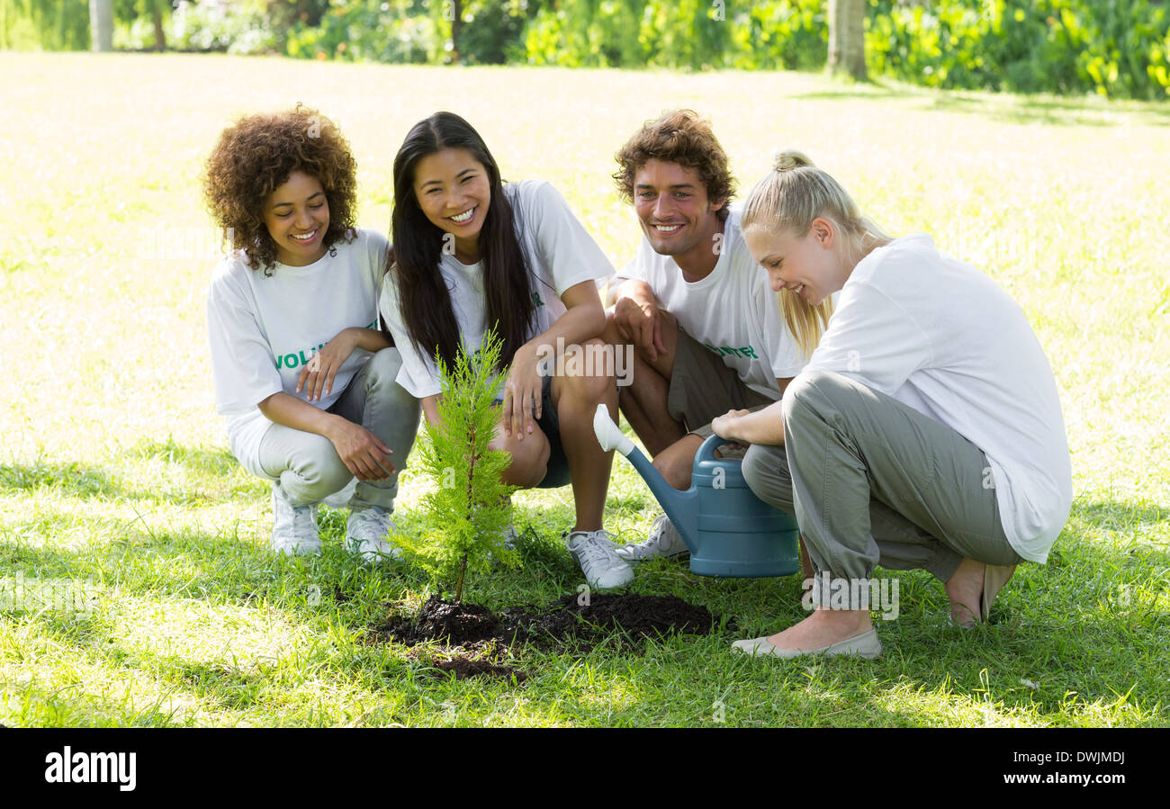 Planting park hi-res stock photography and images - Alamy
