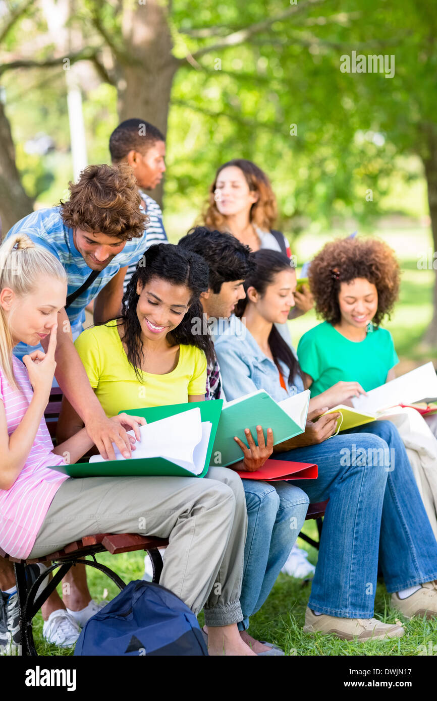 University students studying Stock Photo - Alamy