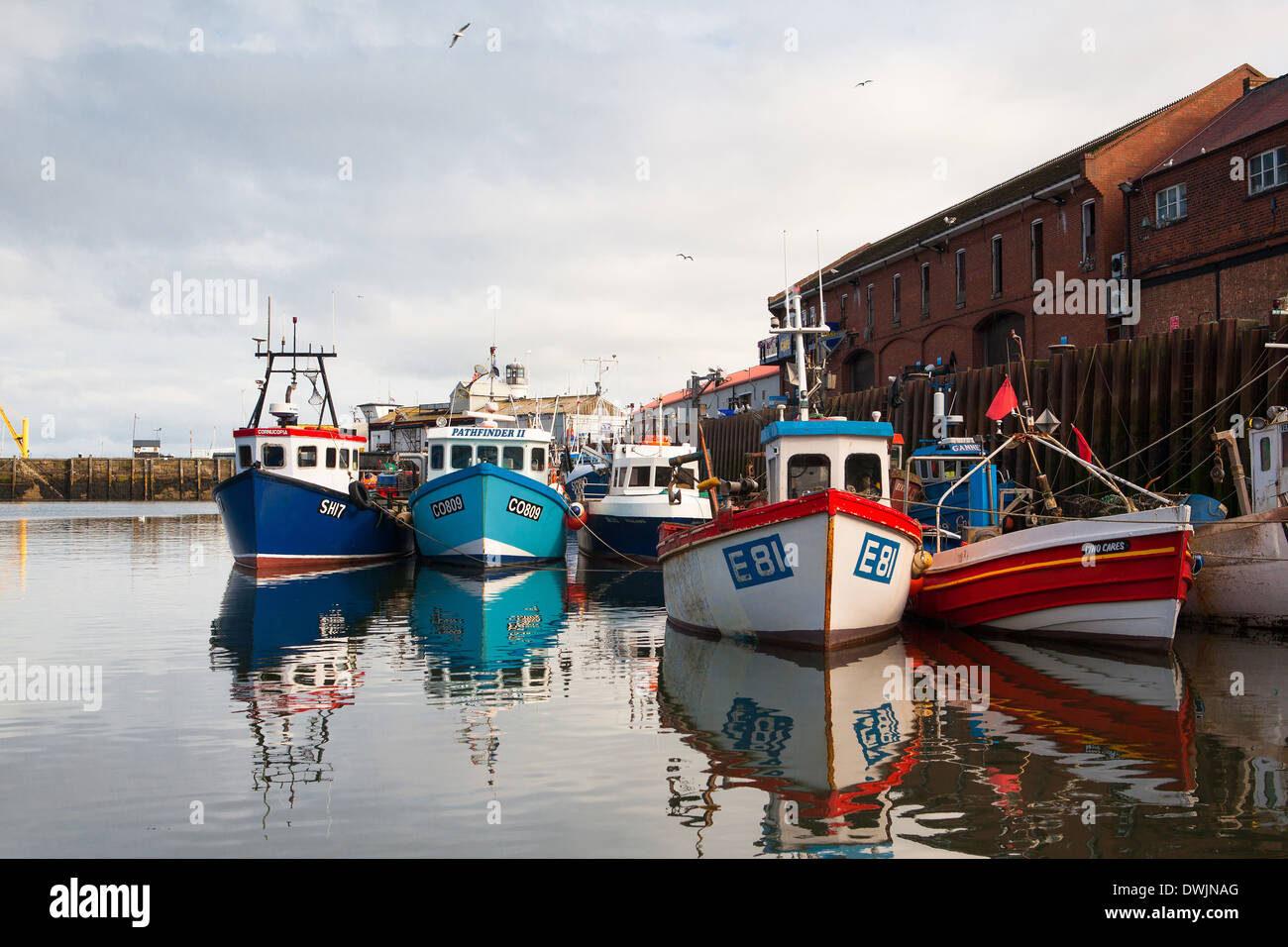 SCARBOROUGH-JULY 13:Typical fishing boats in the Scarborough harbor on ...