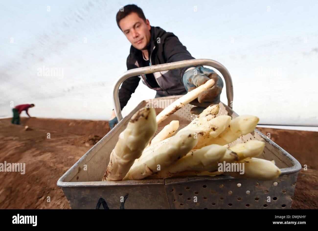 Durmersheim, Germany. 10th Mar, 2014. Fruit and vegetable picker ...