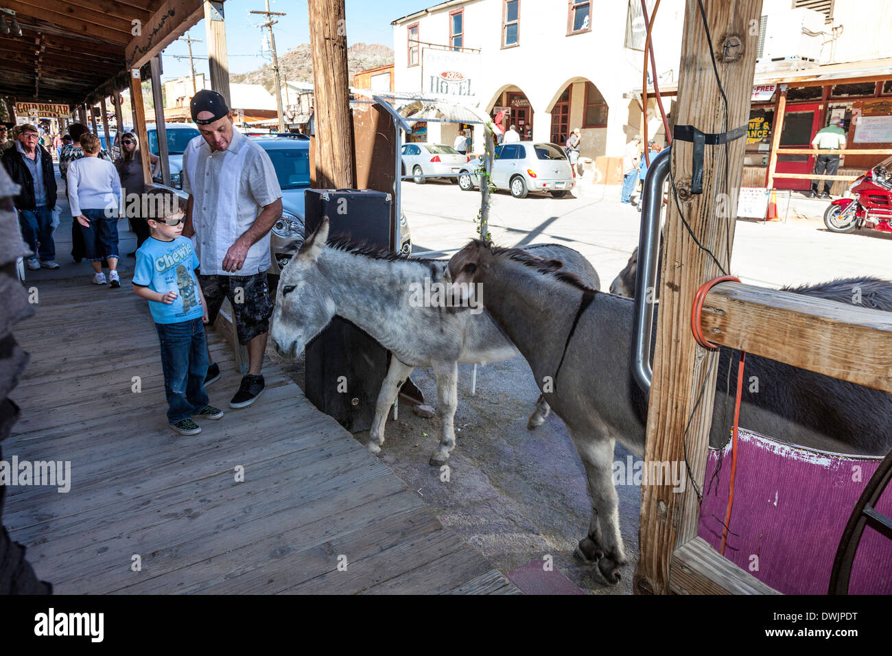 Burro and donkey's in Tourist destination and Cowboy Town of Oatman in ...