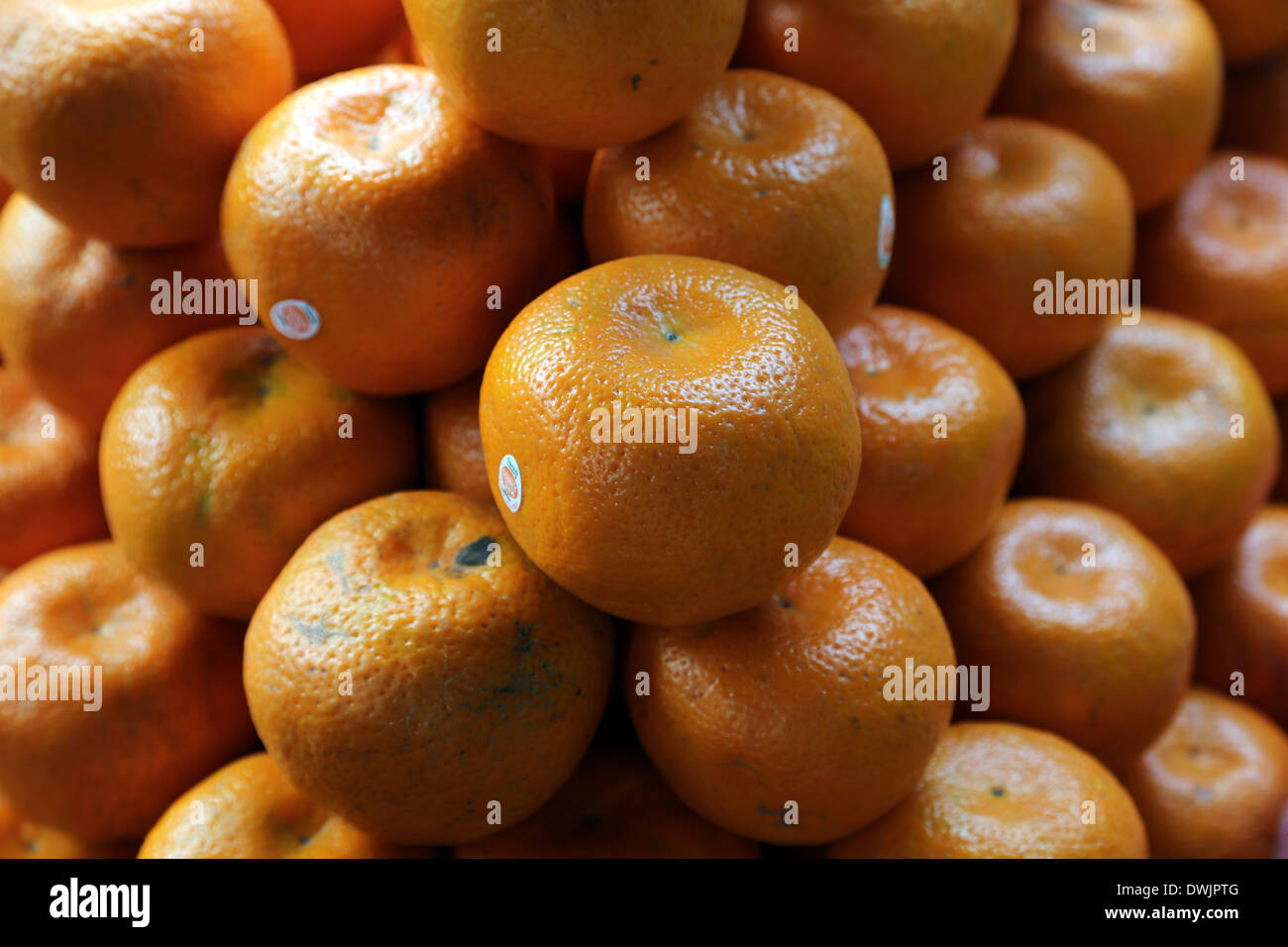 Pears of india hi-res stock photography and images - Alamy