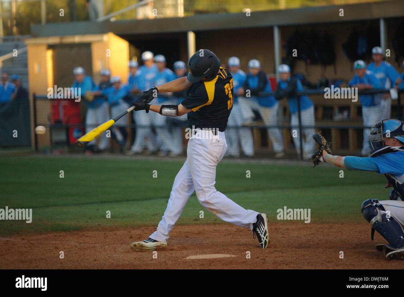 Georgia state university baseball hi-res stock photography and images ...