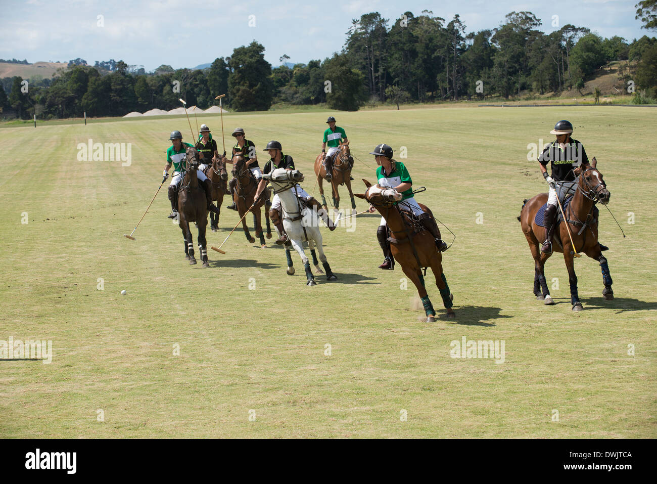 Women playing polo hi-res stock photography and images - Alamy