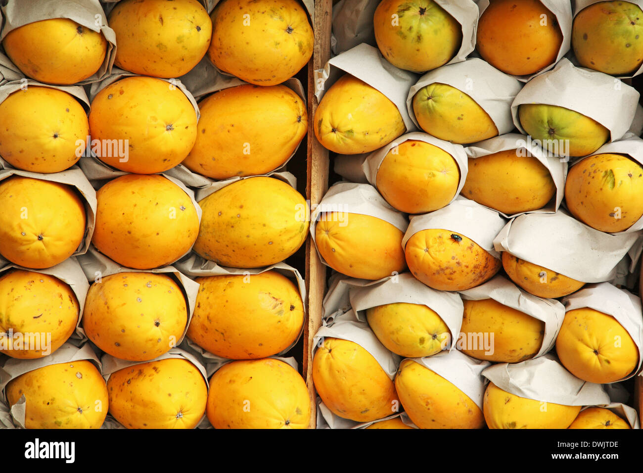 Papaya, Brazil, Rio de Janeiro Stock Photo - Alamy