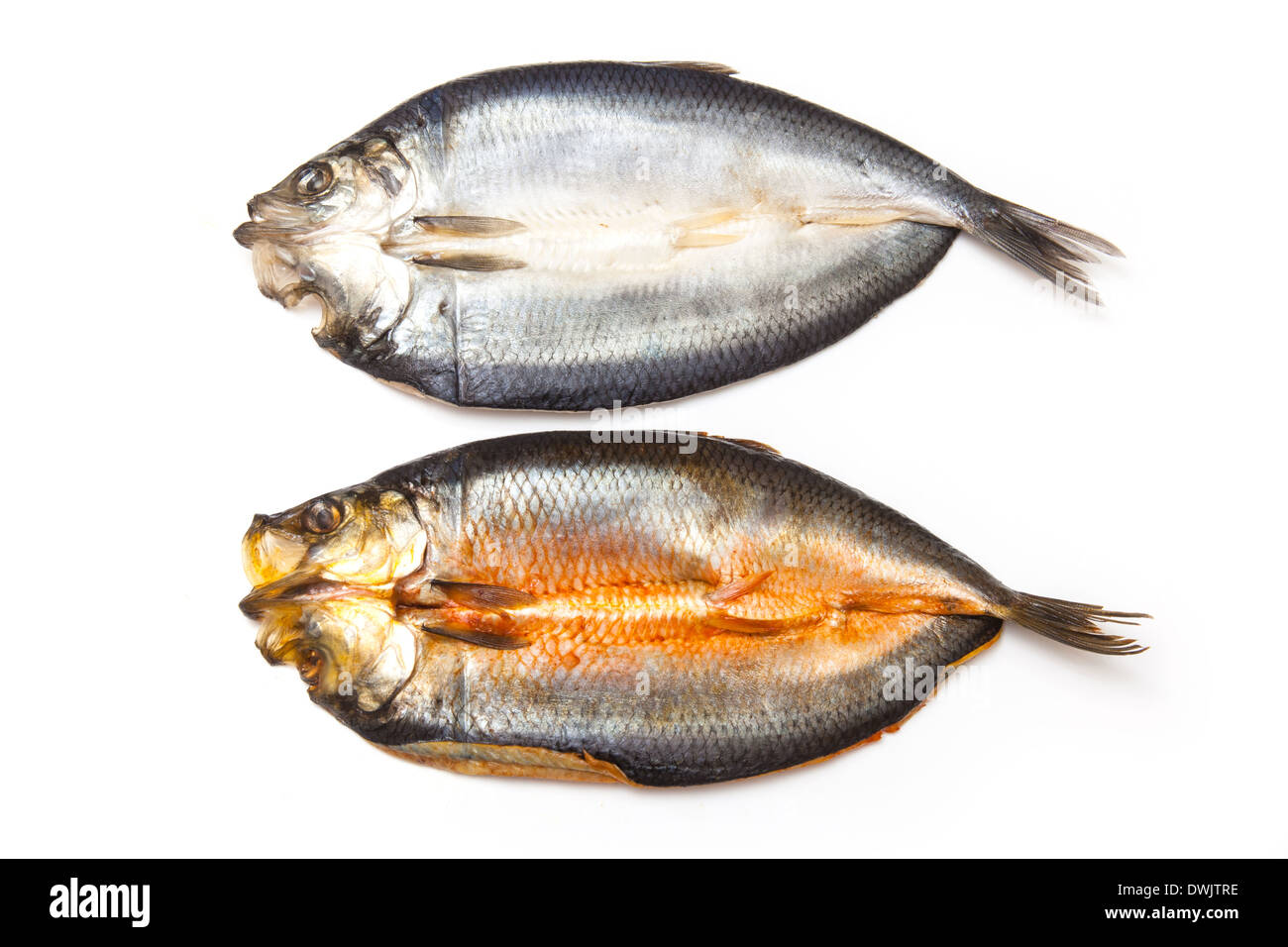 Dyed and non-dyed Scottish smoked kippers isolated on a white studio ...