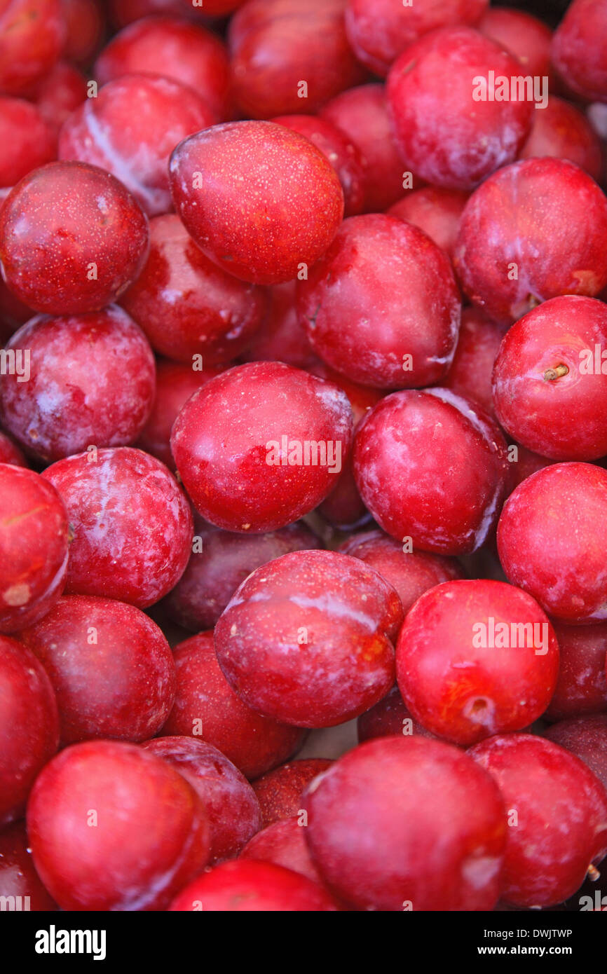 Brazil plum hi-res stock photography and images - Alamy