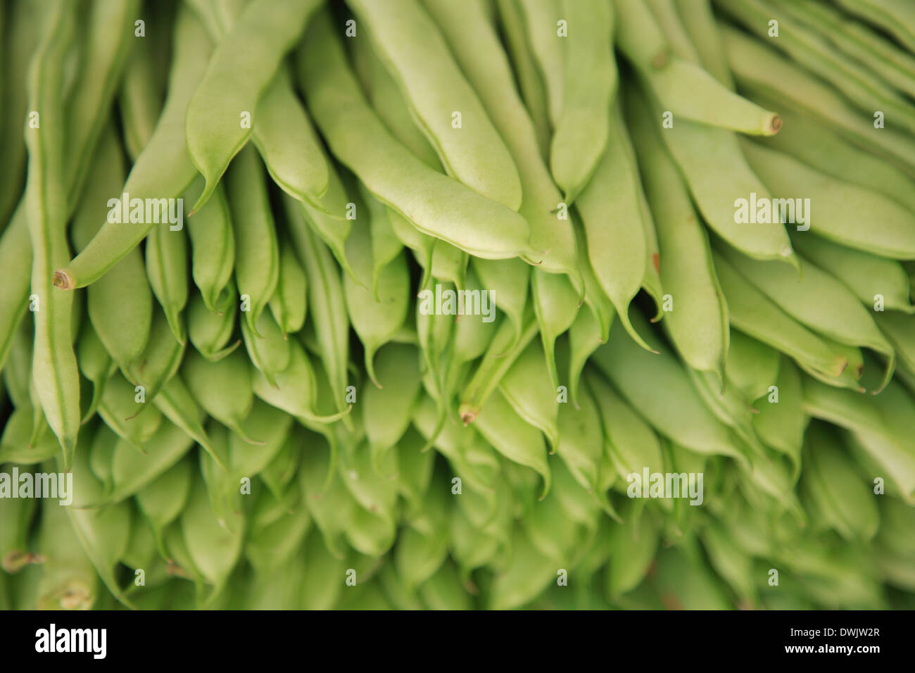 Vegetable brazil hi-res stock photography and images - Alamy
