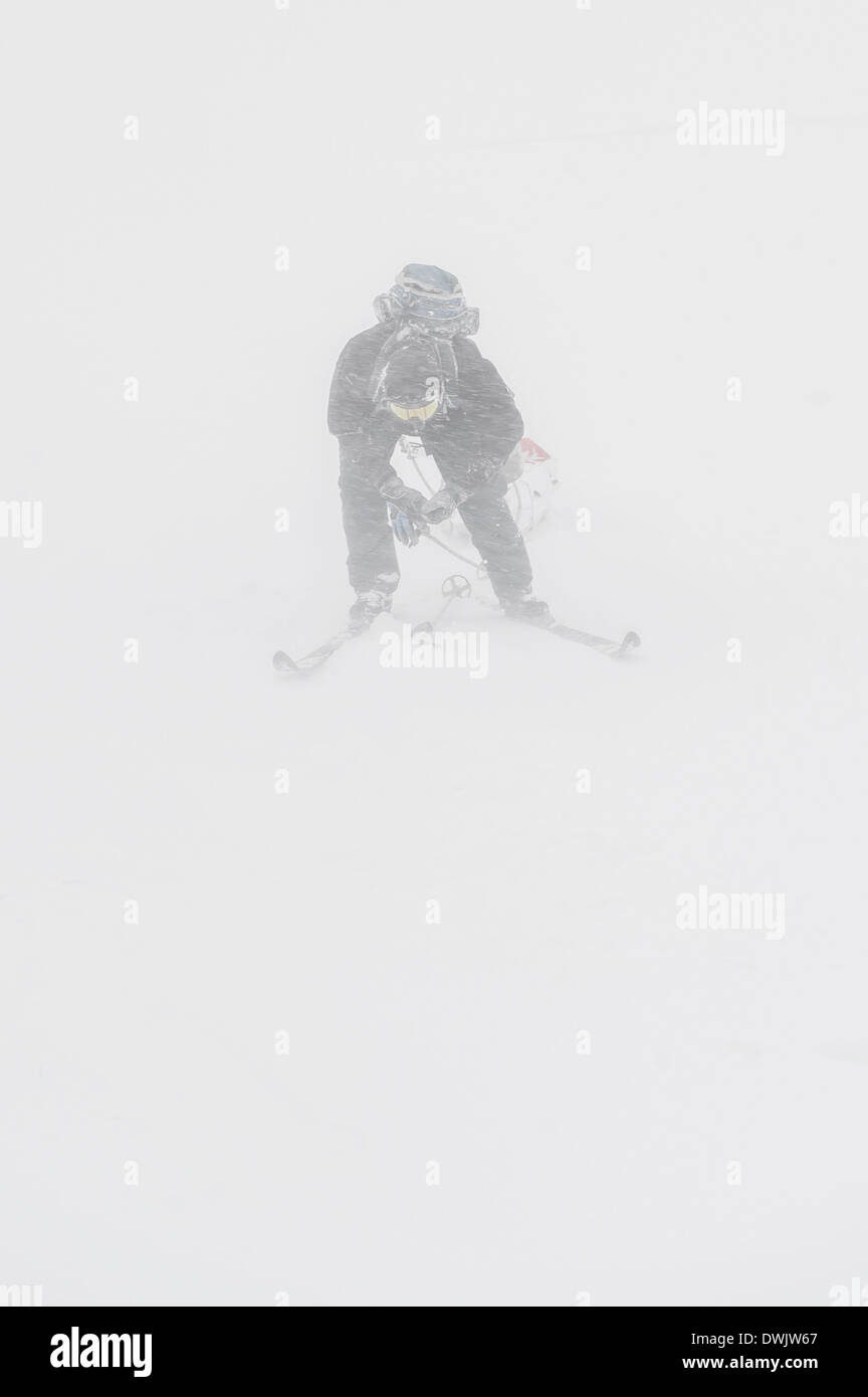 A tired skier near breakdown at the Hardangervidda plateau, Norway ...