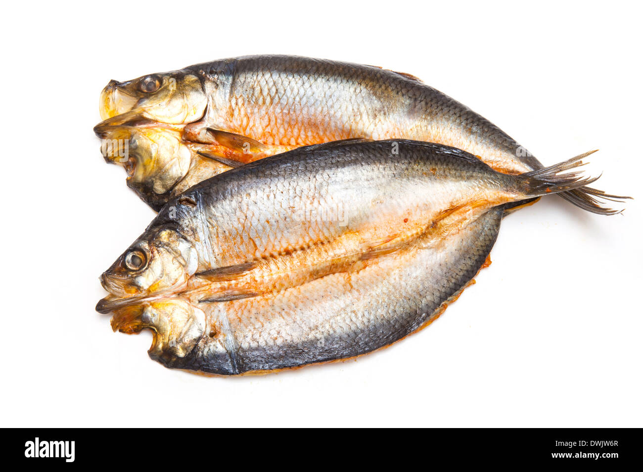 Dyed Scottish smoked kippers isolated on a white studio background ...