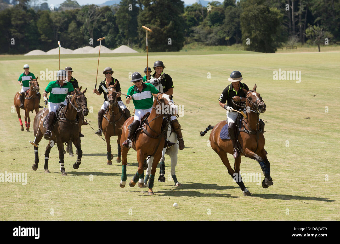 Country polo match in progress Clevedon North Island New Zealand Stock ...