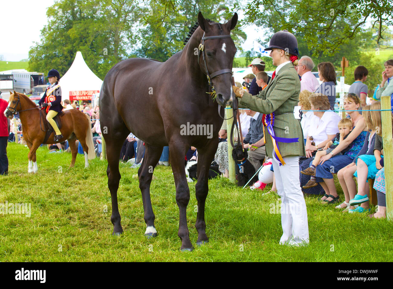 Woman show ring hi-res stock photography and images - Alamy