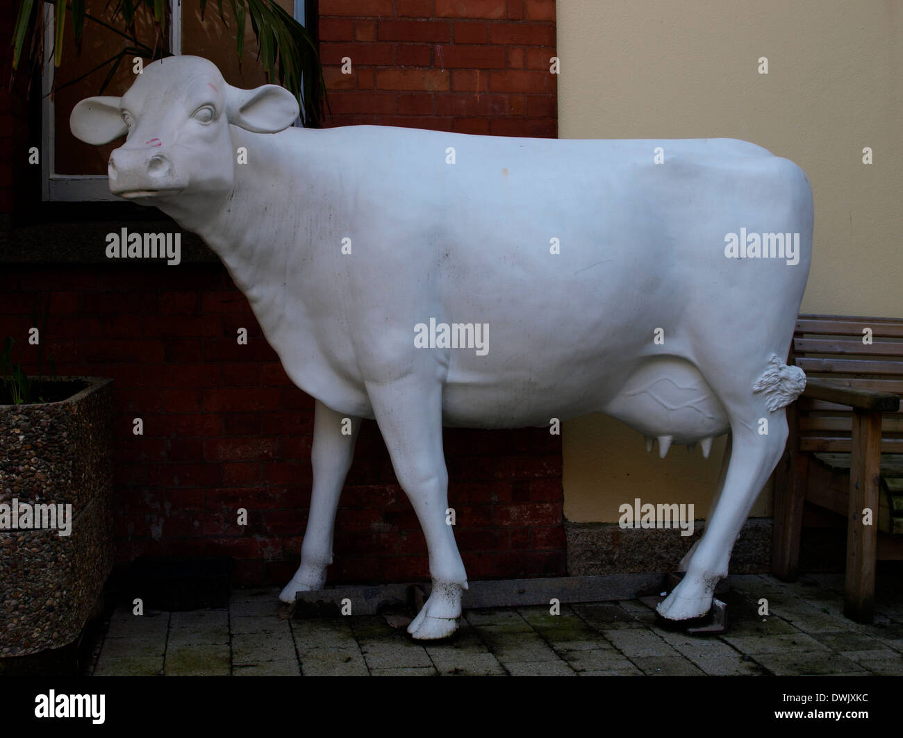 White cow statue outside the Pannier Market, Truro, Cornwall, UK Stock ...