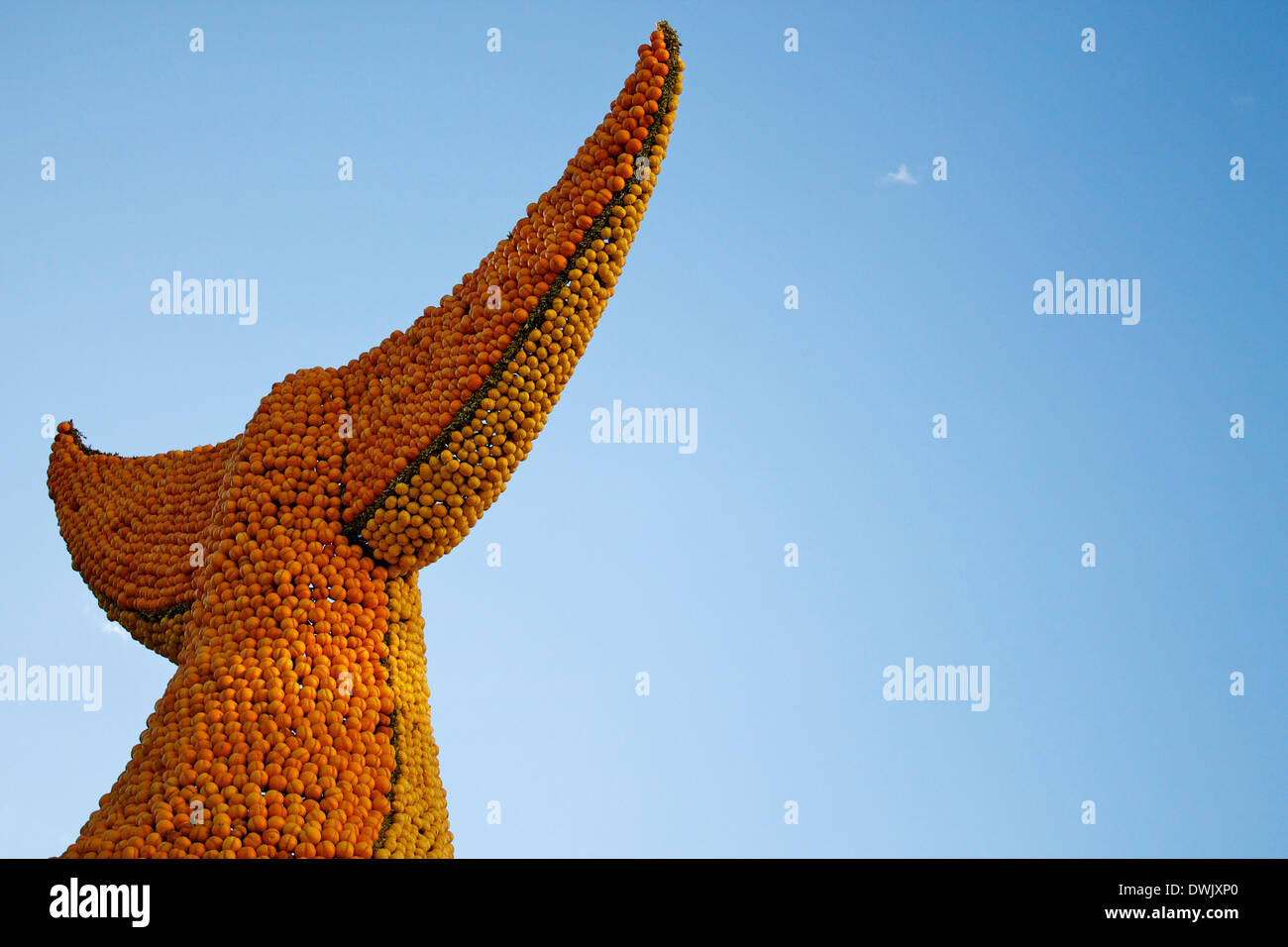 Citrus parade hi-res stock photography and images - Alamy