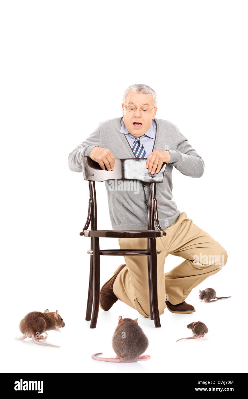 Mouse Rodent Man Stock Photos & Mouse Rodent Man Stock Images - Alamy