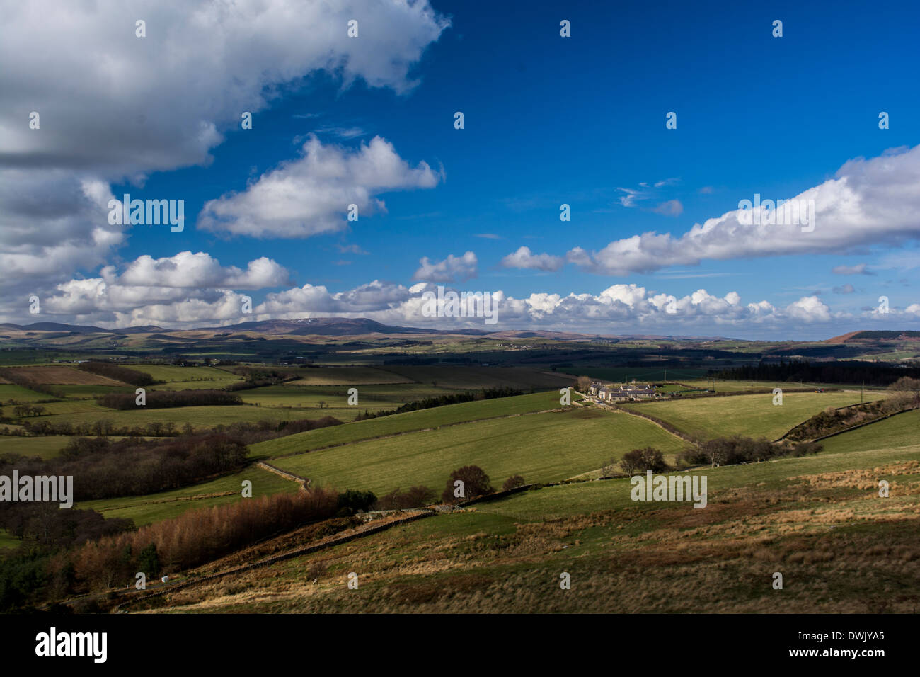 The cheviot hi-res stock photography and images - Alamy
