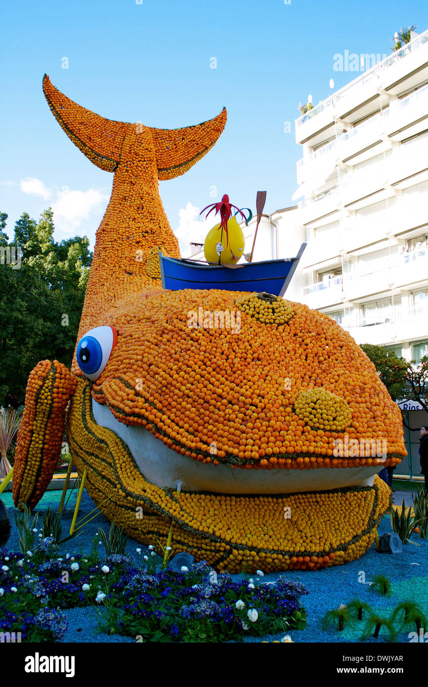 Parade of oranges hi-res stock photography and images - Alamy
