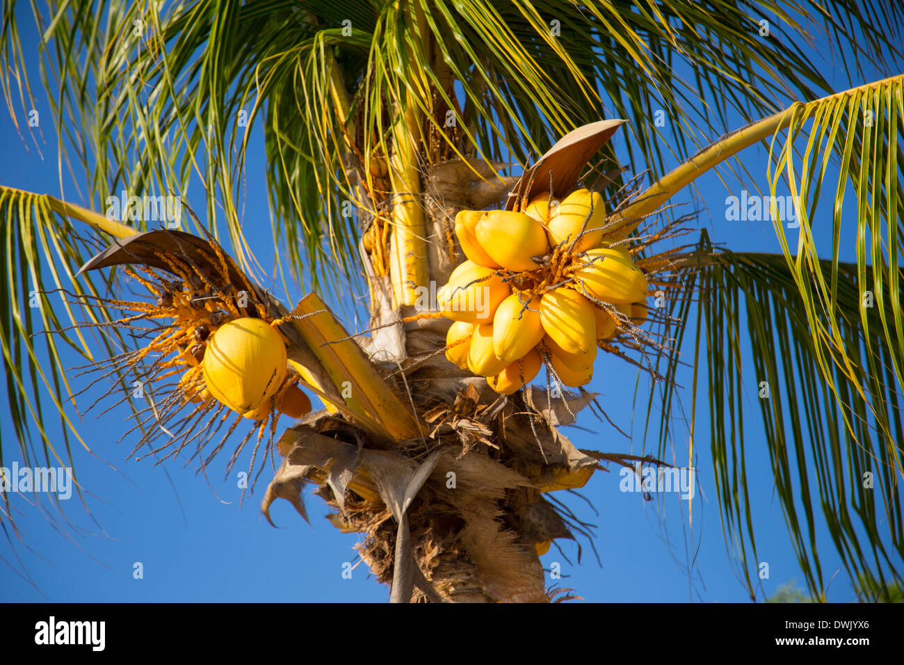 Playa La Ropa, Zihuatanejo, Guerrero, Mexico Stock Photo - Alamy