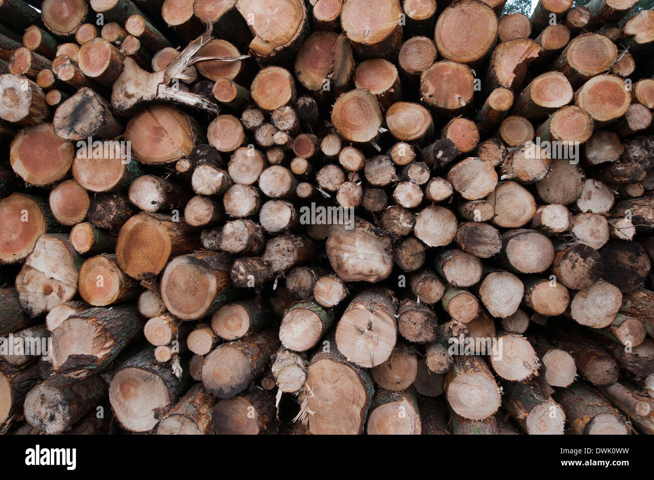 Stacked logs symmetry hi-res stock photography and images - Alamy