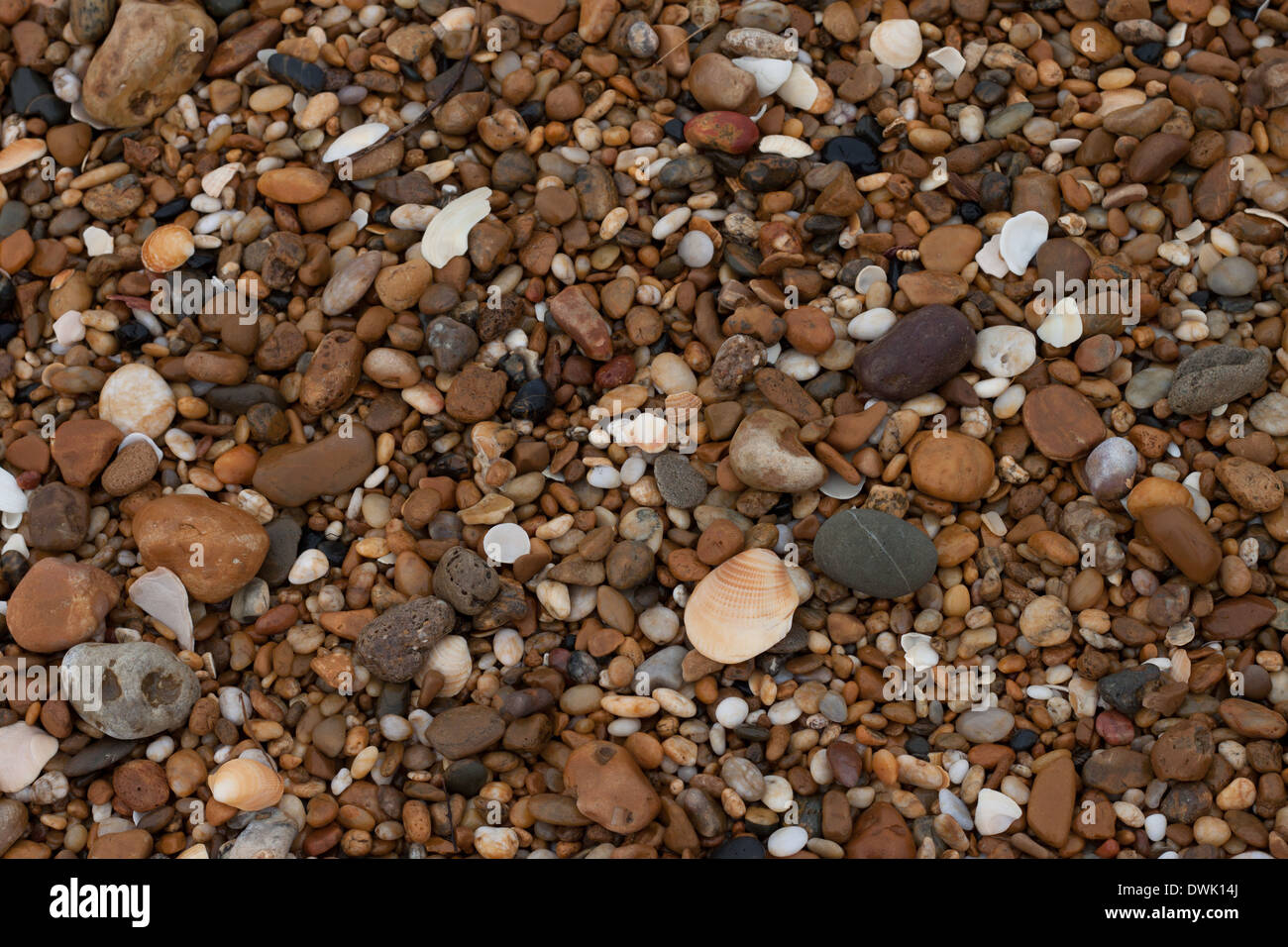 The rocky brown beach in Normandie France Stock Photo - Alamy